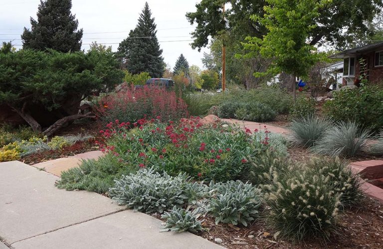 Boulder Xeriscape - Sunlit Designs